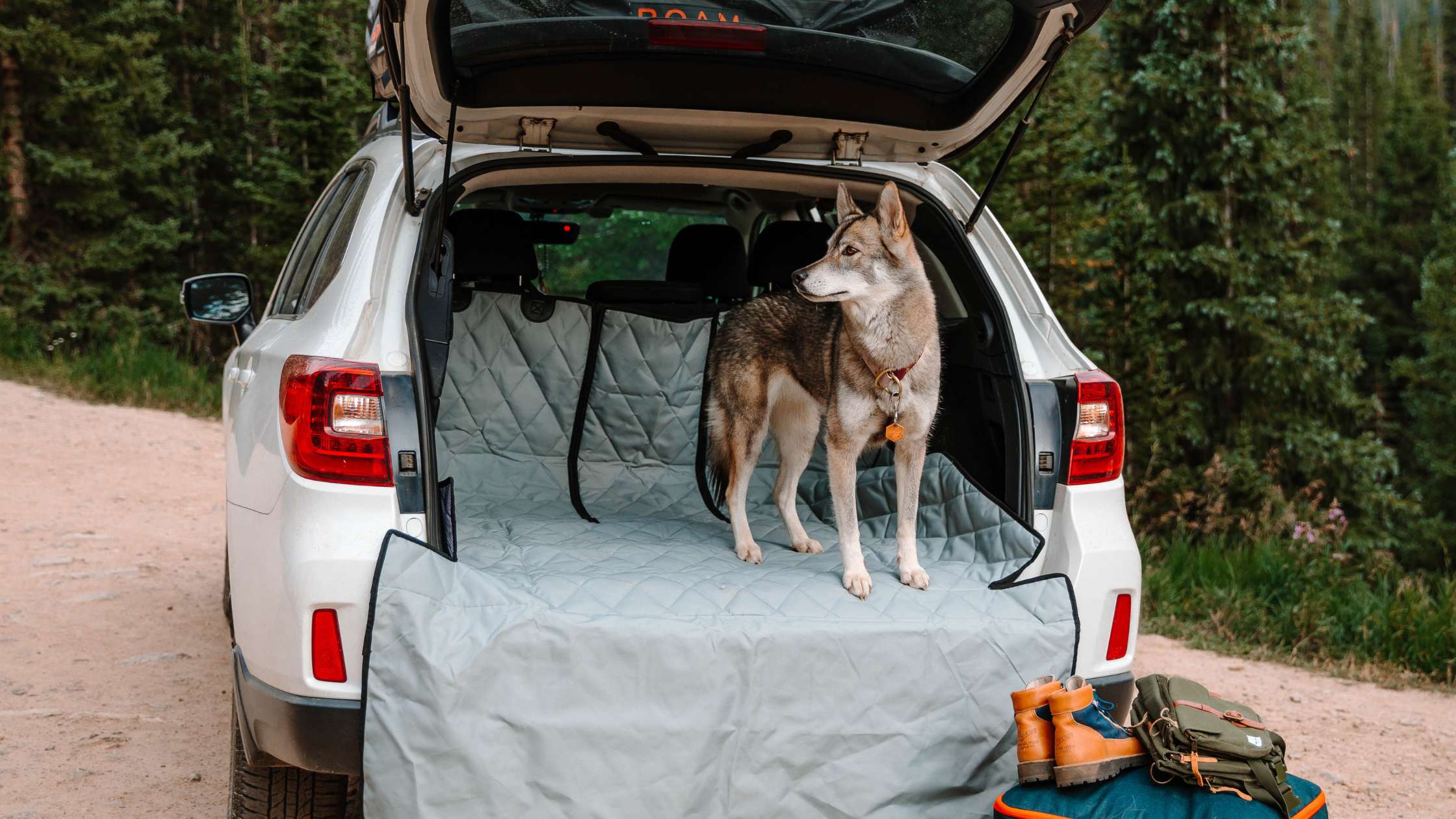 Enhance SUV Protection: The Essential Guide to Pet-Friendly Cargo Line ...