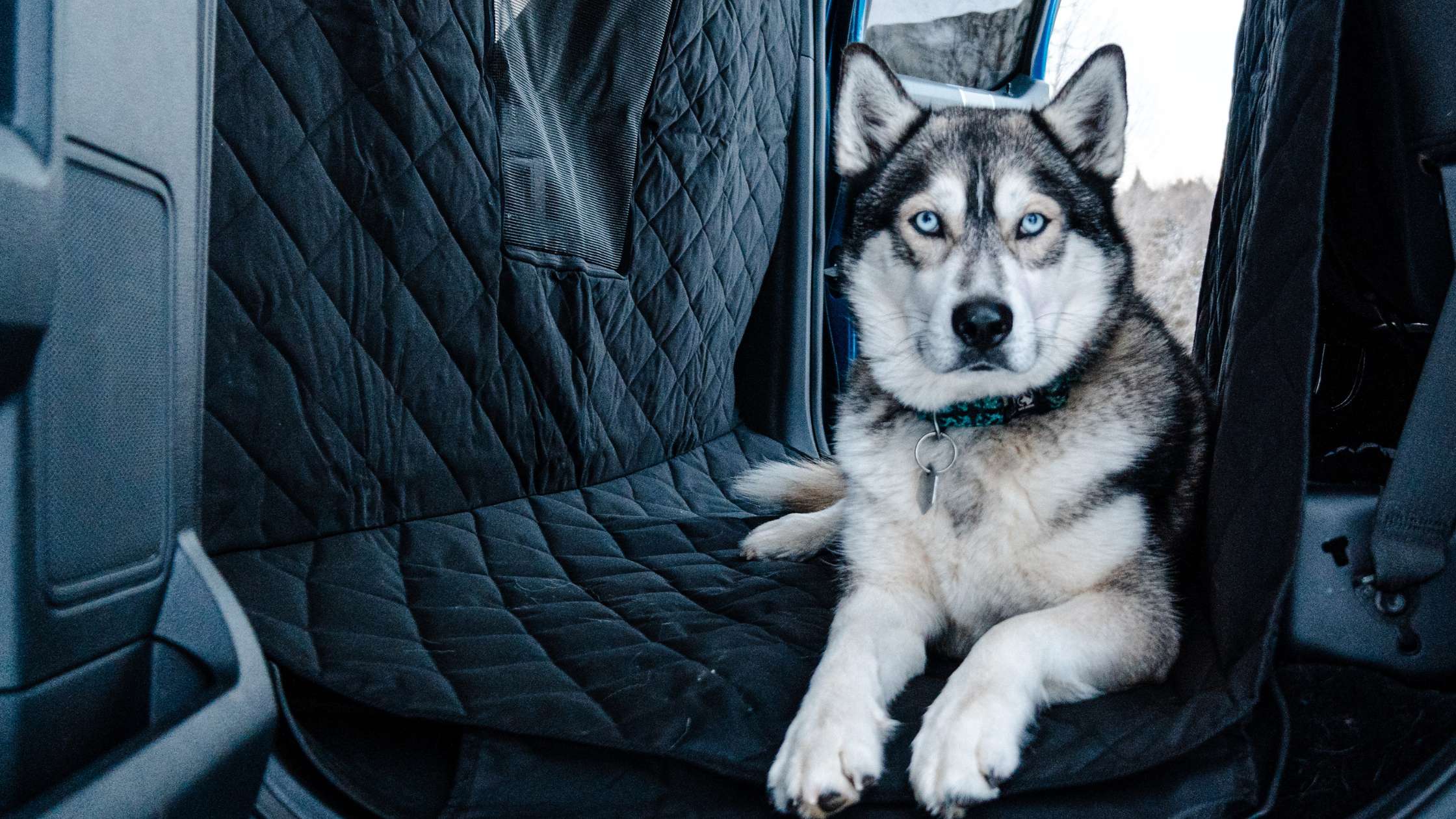 Enhance Your Truck’s Interior with High-Quality Seat Covers – 4Knines®