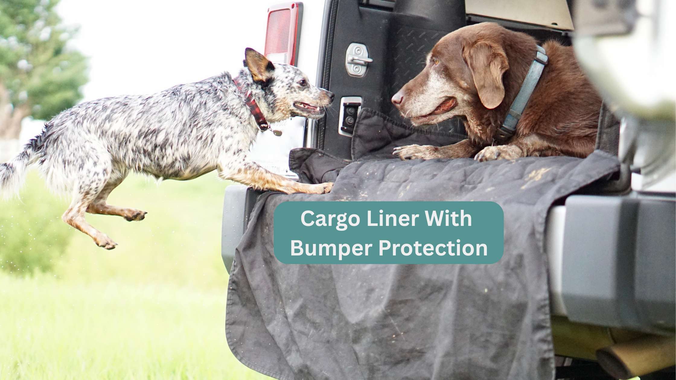 Are There Cargo Liners That Cover the Bumper? | 4Knines SUV Protection ...
